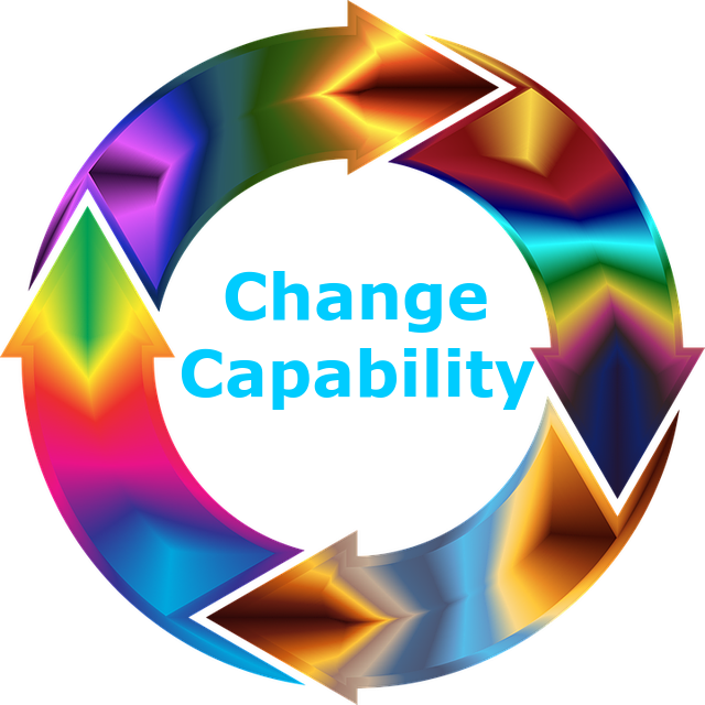 The Change Capability Quotient - Tech Titans